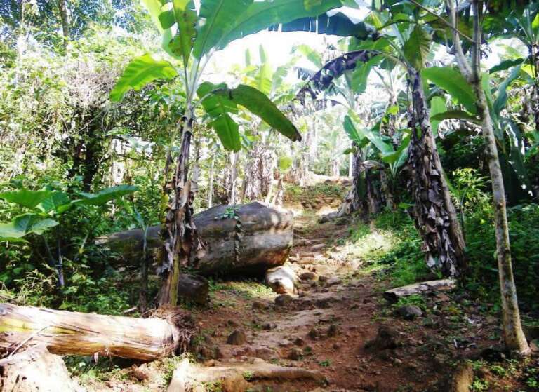 Nature in Togo – Opulent Routes