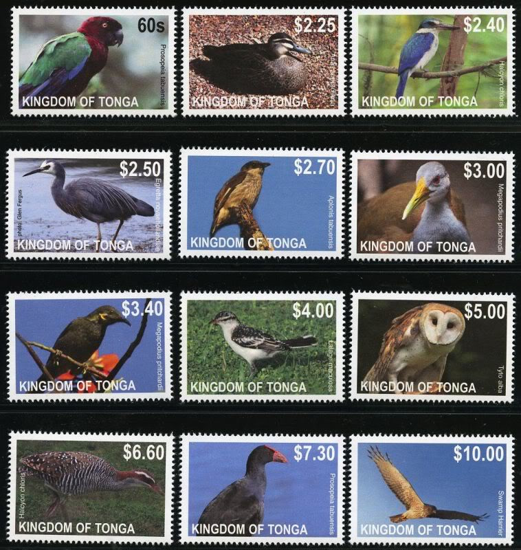 Bird Watching in Tonga - Opulent Routes