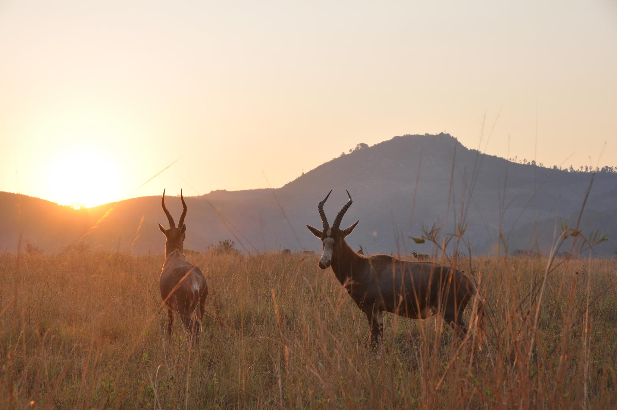South West Eswatini (Swaziland) – Opulent Routes