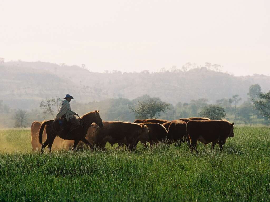 Rural Tourism in Paraguay – Opulent Routes