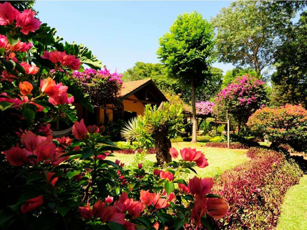 Rural Tourism in Paraguay – Opulent Routes