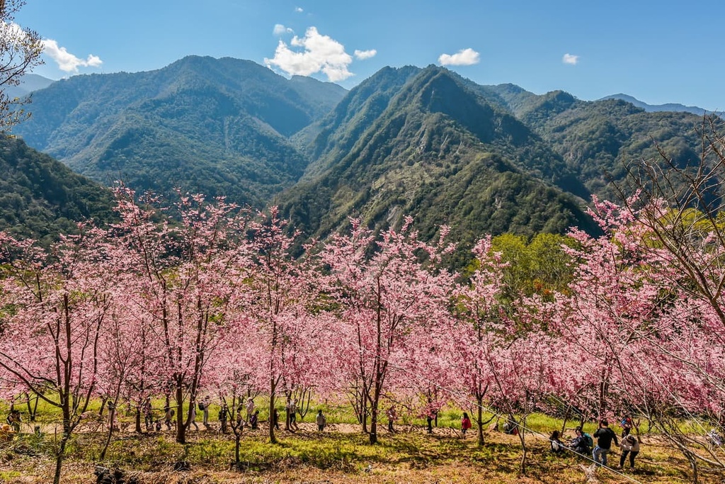 Miaoli County – Opulent Routes