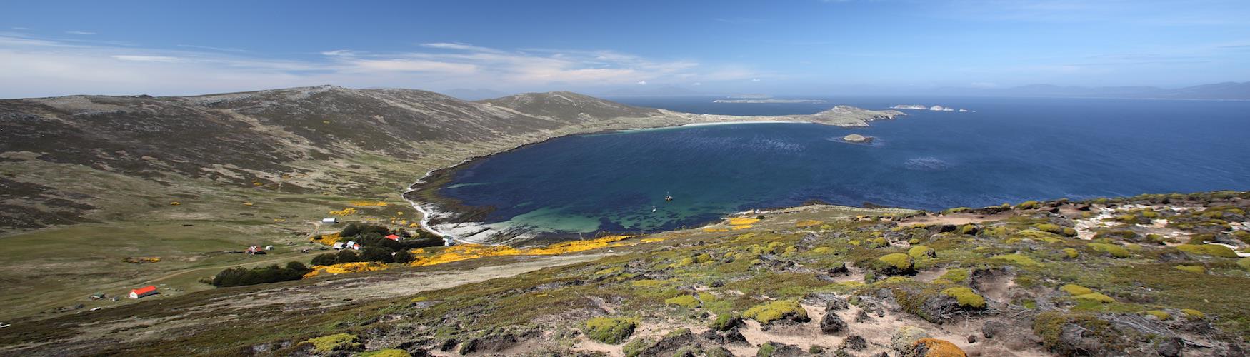 Falkland Islands – The Islands – Opulent Routes