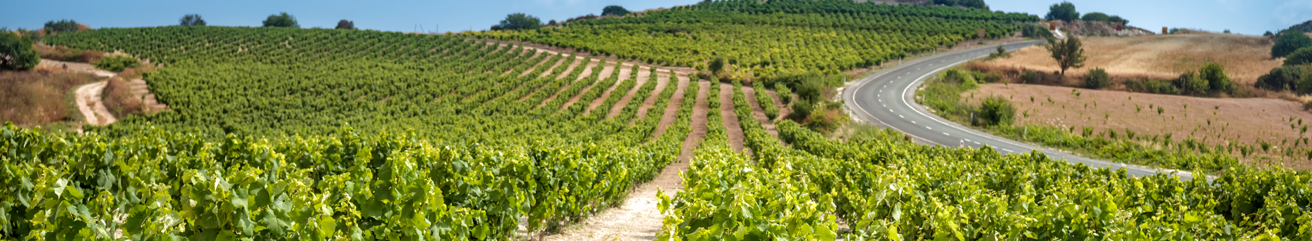 Thematic Routes of Cyprus – Opulent Routes