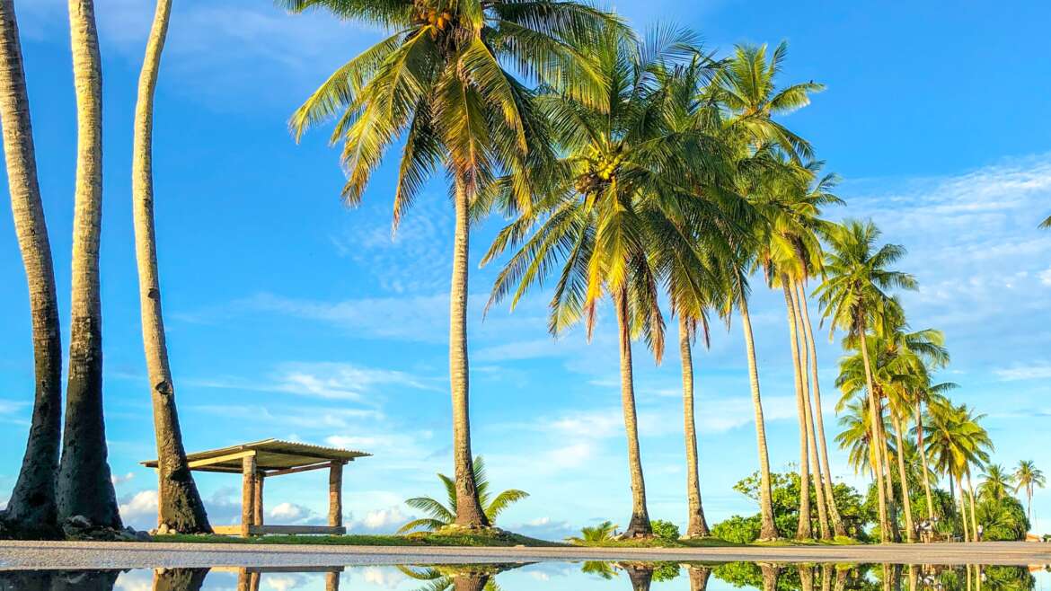 Nauru Experience – Opulent Routes